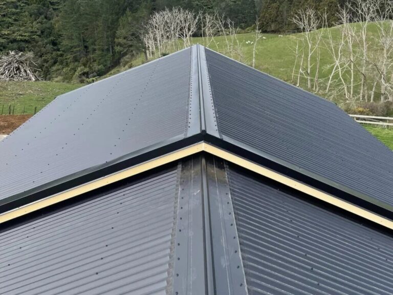 Hamilton Roofing Services NZ | Reroofs - New Roofs - Repairs