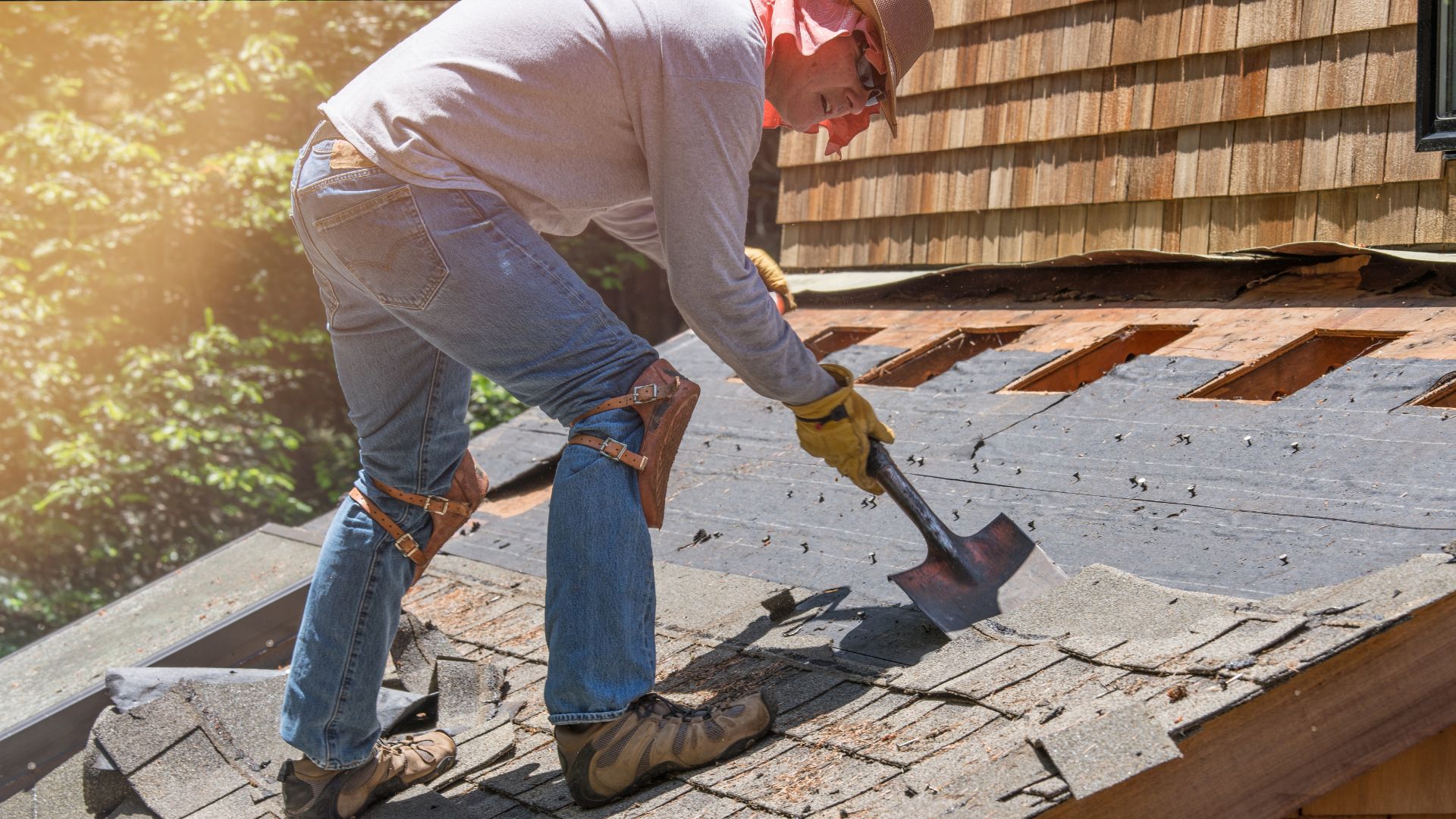 Ultimate Guide To Re-Roofing Process NZ - Hamilton Roofing Services